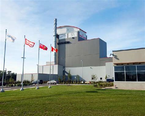 رویال کنین معرفی برند رویال کنین نمایندگی فروش غذای رویال کنین پت