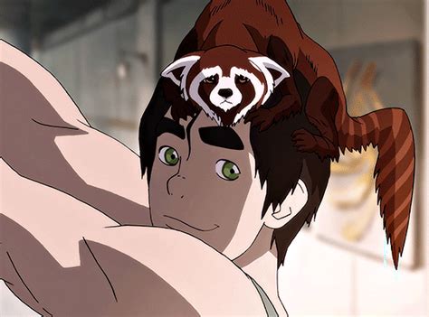 Legend Of Korra Pabu And Bolin