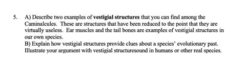 Solved 5 A Describe Two Examples Of Vestigial Structures