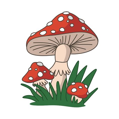 Classy Flowers Youtube