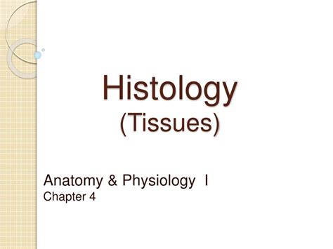 Ppt Histology Tissues Powerpoint Presentation Free Download Id