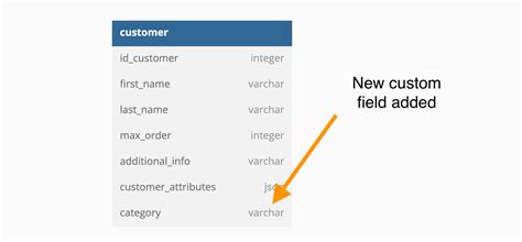Database Design For Custom Fields • Dorcy Shema