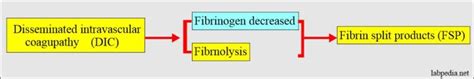 Fibrinogen Factor 1 Acute Phase Protein