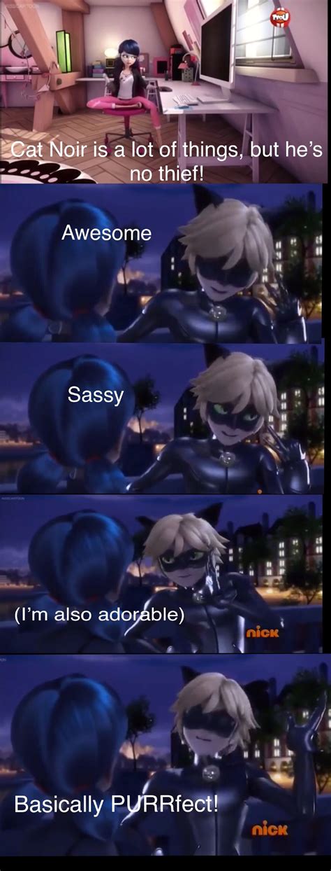 Pin By Jessica On Chat Noir Miraculous Ladybug Movie Miraculous