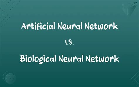 Artificial Neural Network Vs Biological Neural Network Know The