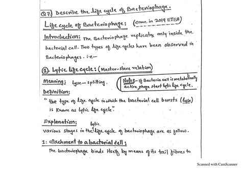 Solution Life Cycle Of Bacteriophage Lytic Cycle And Lysogenic Cycle With Diagrams Full