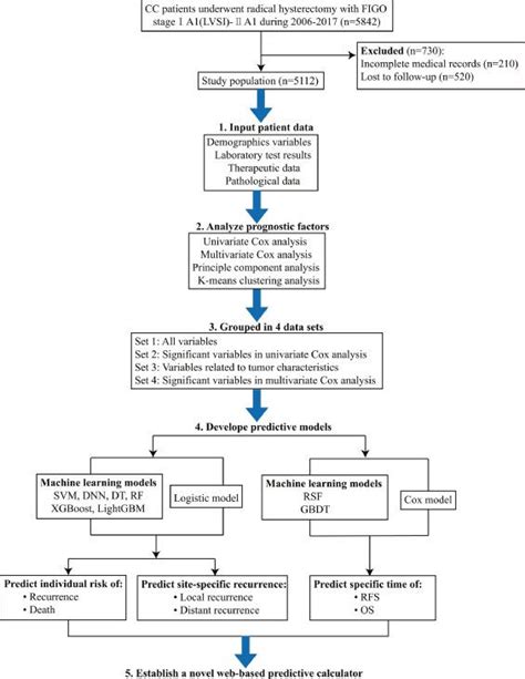 Integrating Cat Boost Algorithm With Triangulating Feature Importance To Predict Survival