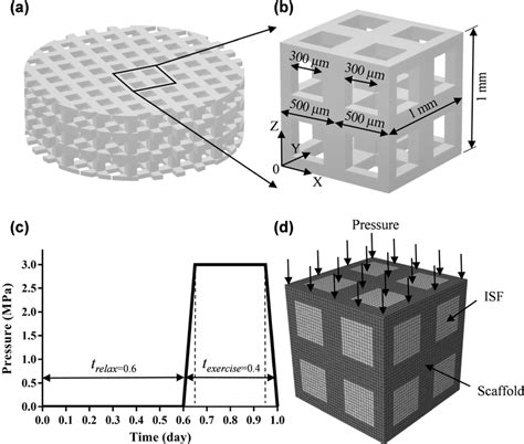 Schematics Of The Finite Element Model A The Porous Periodic Polymer
