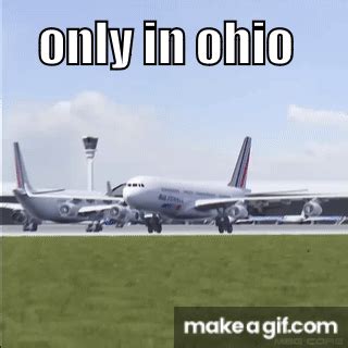 Air Bird Meme On Make A 