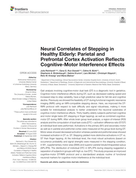 Pdf Neural Correlates Of Stepping In Healthy Elderly Parietal And Prefrontal Cortex
