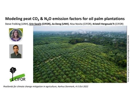 Modeling Peat Co2 And N2o Emission Factors For Oil Palm Plantations Pdf