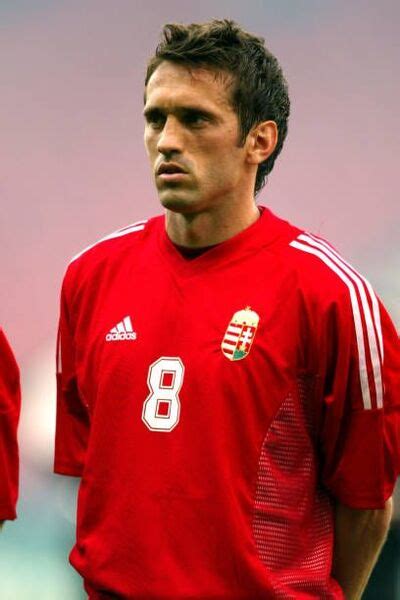 Csaba Fehér Hun Fotos Ceroaceroes
