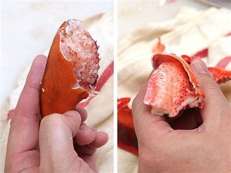 Hard Versus Soft Shell Lobsters Taste Test