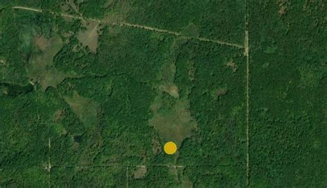 Location Of B Auricomus Element Occurrence Eo In Mott Rd Fen At Fort Download Scientific