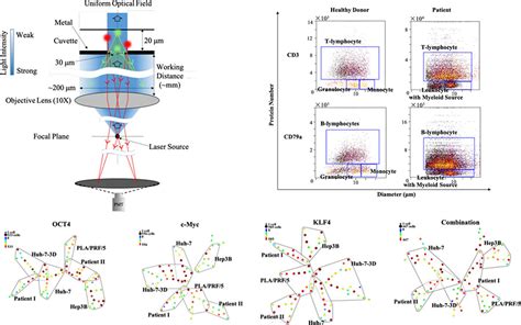 Development Of A Microfluidic Flow Cytometer With A Uniform Optical