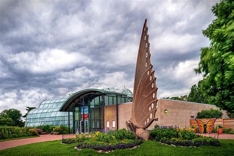 The Butterfly House