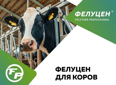 ФЕЛУЦЕН ДЛЯ КОРОВ - Группа компаний Капитал ПРОК