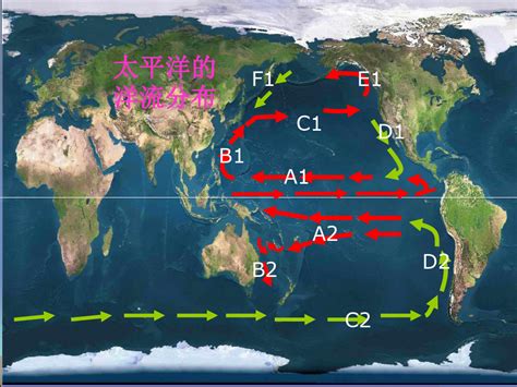 太平洋的洋流分布word文档在线阅读与下载无忧文档