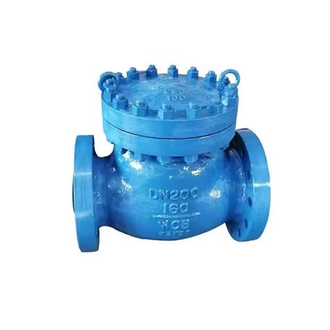 Swing Check Valve Way Valve