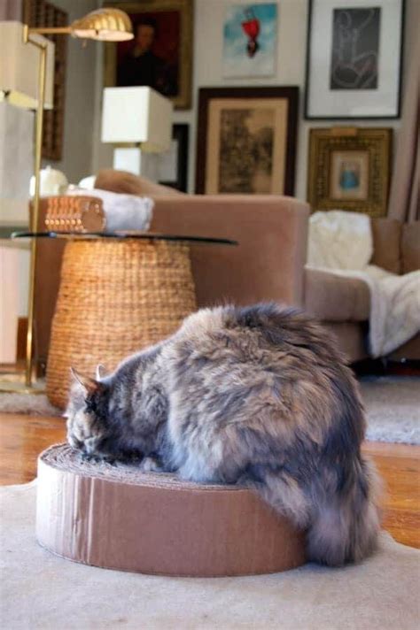 25 Diy Cat Scratching Post Ideas Mint Design Blog Cat Diy Diy Cat
