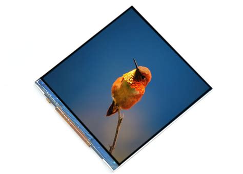 Z Inch Square LCD Display Module QVGA Nits SPI RGB MIPI Interface Zhunyi