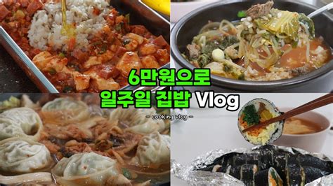 추운날 먹기 좋은 뜨끈한 일주일 집밥 브이로그🍂 새로운 가족 탄생🐶 초간단 칼국수 겉절이 얼갈이 소고기무국 순두부