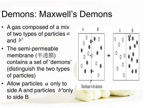 Ppt Image Registration Demons Algorithm Powerpoint Presentation