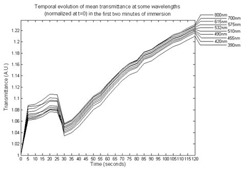 Mean Temporal Transmittance Evolution Of The Tissues Submerged In