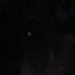 SexLab Cum Textures Remake Slavetats Sex Effects LoversLab