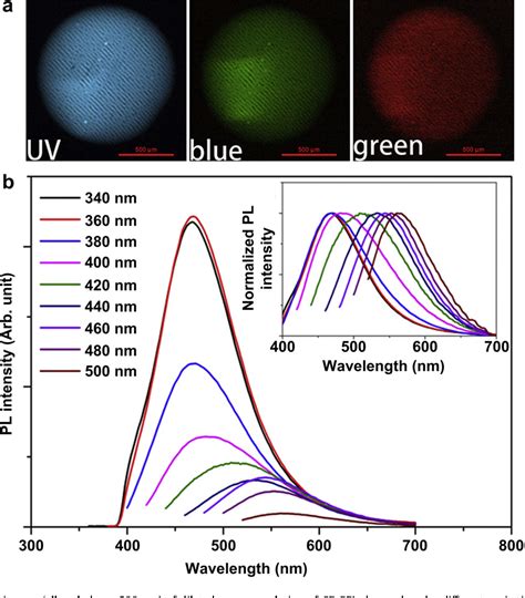 Figure 4 From Nano Carrier For Gene Delivery And Bioimaging Based On