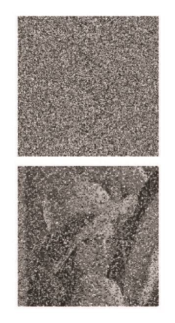 robustness analysis results of noise and data loss a the encrypted