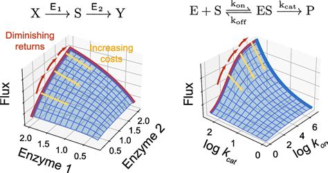 Diminishing Returns And Increasing Costs Epistasis In Simple Models Of Download Scientific