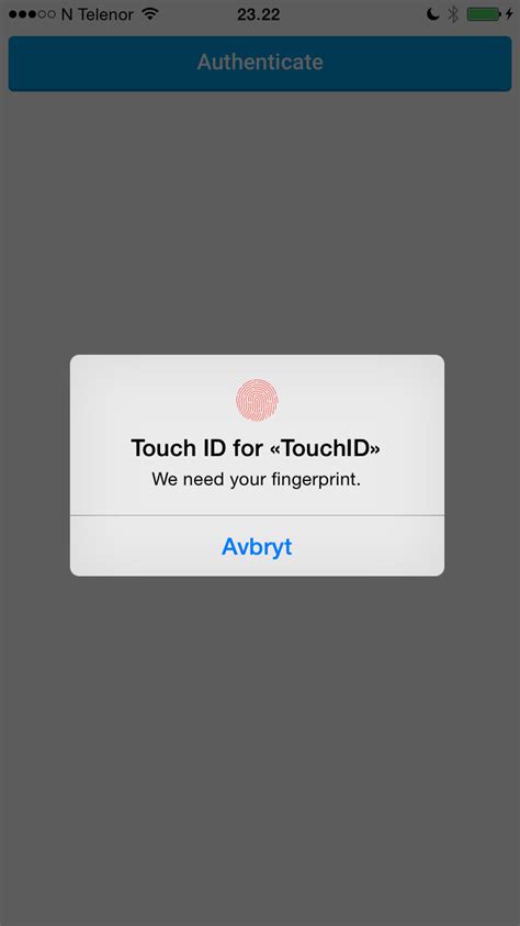 Github Bolav Fuse Touchid