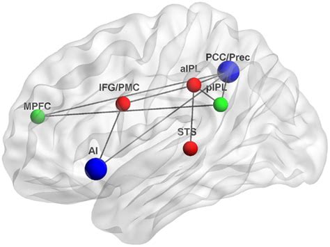 Frontiers Self Processing And The Default Mode Network Interactions With The Mirror Neuron System