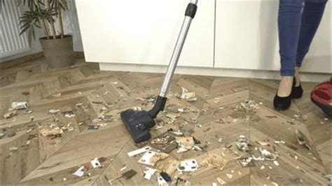 Vacuuming Your Crushed Money And Collectibles Small Version Madame Marissa Clips4sale