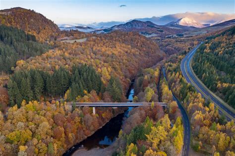 Counting Trees Earth Wise