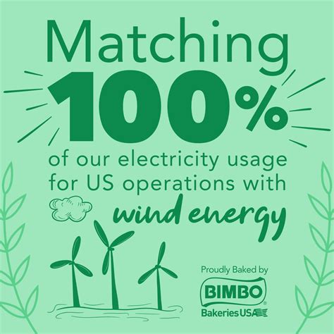 Thomas Light Multi Grain Multi Grain English Muffins 6 Count 12 Oz Planogram Back