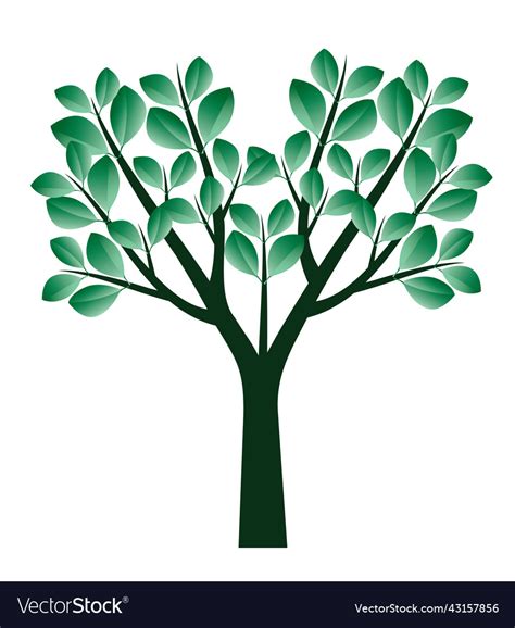 Green Spring Tree Royalty Free Vector Image Vectorstock