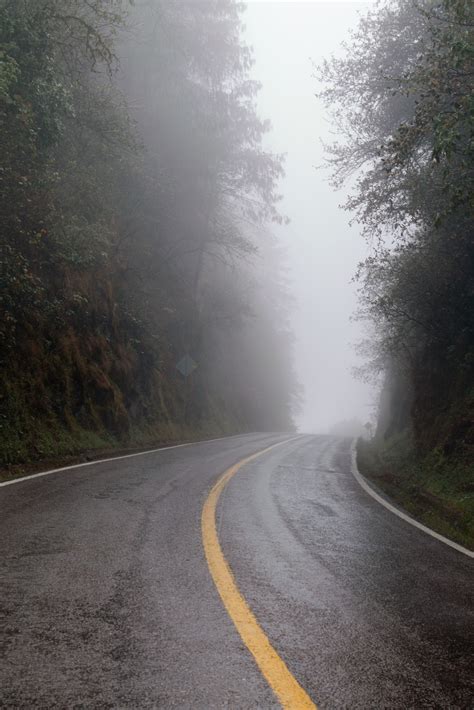 무료 이미지 자연 숲 구름 안개 햇빛 아침 아스팔트 날씨 레인 도로 여행 하부 구조 이슬비 노면 대기 현상 2693x4039 66862