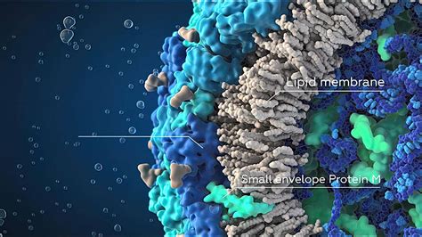 Cellular Structure Background Images Hd Pictures And Wallpaper For