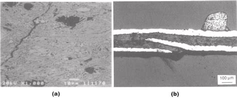 Sem Micrographs Showing A Cracks And B Intrusion Of Ag Cladding Download Scientific
