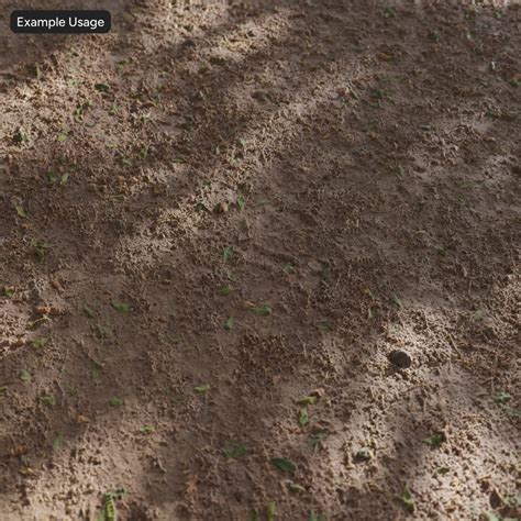 Dirt Forest Texture Poliigon