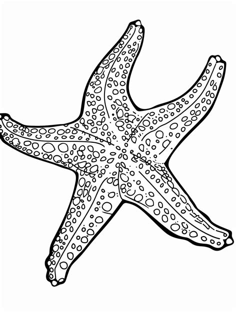 Estrella De Mar Para Colorear Página Para Colorear De Dibujos