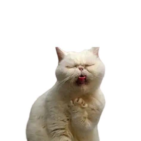 Bộ Sưu Tập 189 Meme ọe Buồn Nôn Hài Siêu Lầy Lội