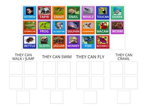 Classifying Animals Group Sort Classifying Animals Group Sort
