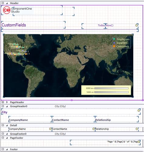 Map Custom Field Flexreport For Winforms Componentone