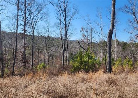 Lot 163 Lecroy Dr Ga 30540 Mls 10702075 Redfin