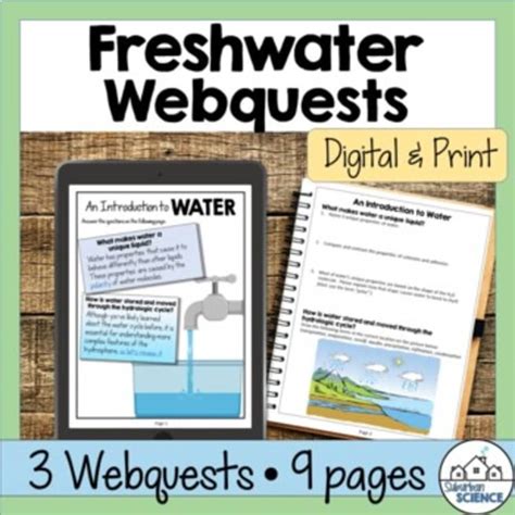 Environmental Science Webquest Set Water Cycle Surface Water