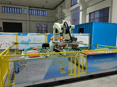 Multi Function Packaging Line Palletizing Robot Industrial Arm
