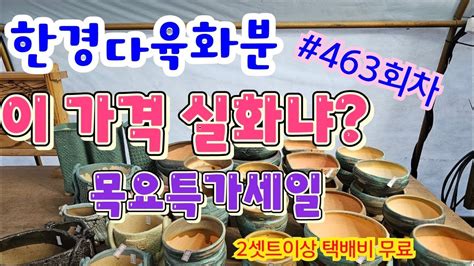 2024년 4월 18일463회차영상 한경다육화분 수제공방분 공방분 다육화분 예쁜화분 다육이 다육생활 회분특가세일 Youtube